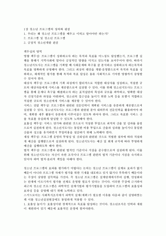 미래지향적인 청소년 프로그램 개발 및 평가 요약본