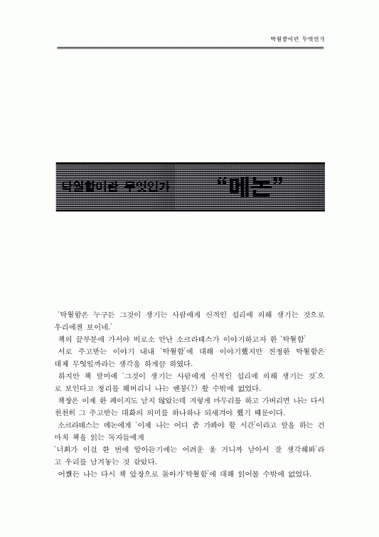 플라톤 메논 서평 메논 독후감 메논 줄거리 메논 분석 이해 서평 요약정리