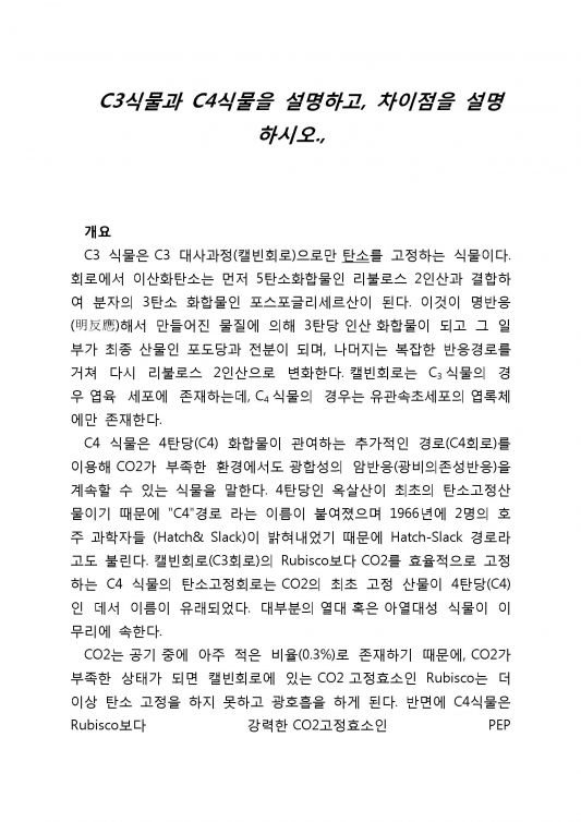 C3식물과 C4식물의 특징과 차이점 자료