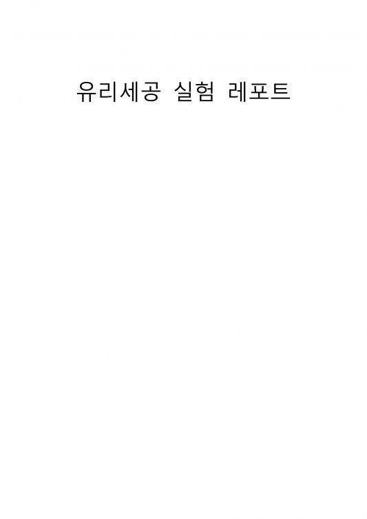 레포트 유리세공