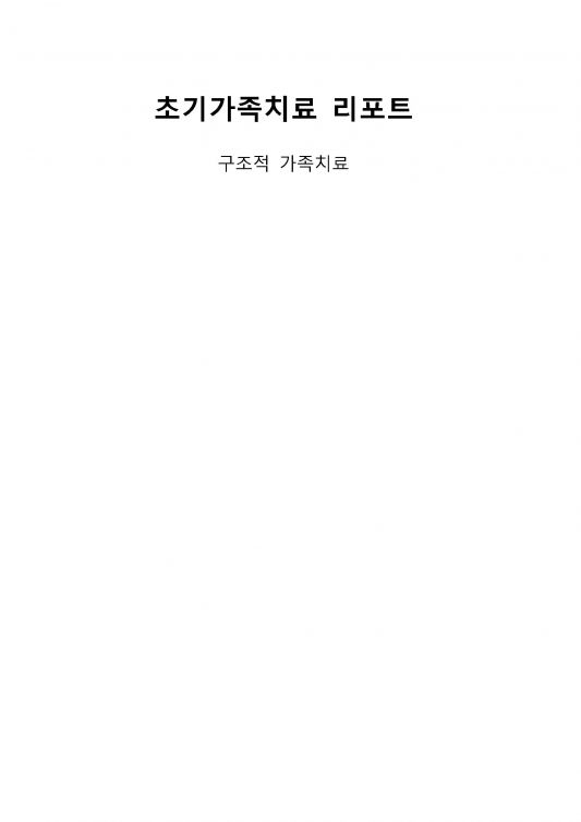 초기 구조적 가족치료 레포트