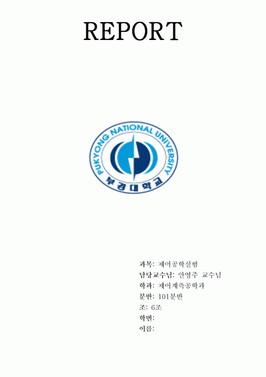 2차 지연요소 레포트 자료