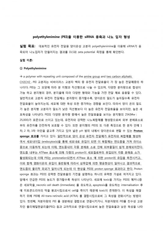 polyethylenimine (PEI)을 이용한 siRNA 응축과 나노 입자 형성