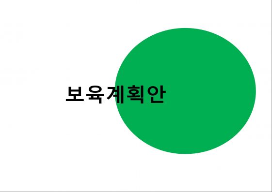 보육계획안,연간보육계획안,월간보육계획안,일간보육계획안,영역별활동계획안
