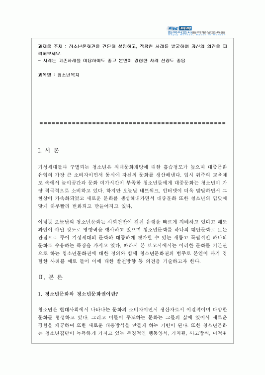 사회복지 청소년문화권과 사례