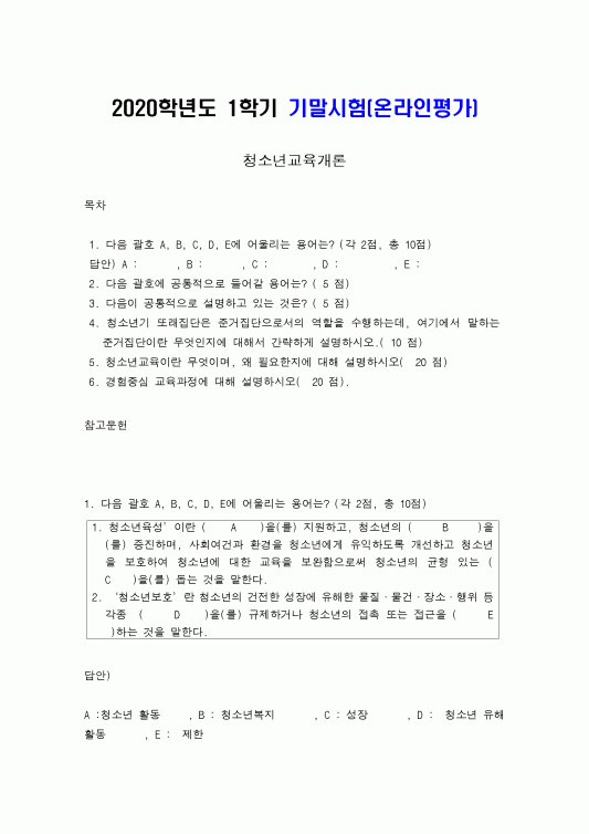 2020학년도 1학기 기말시험(온라인평가) 청소년교육개론