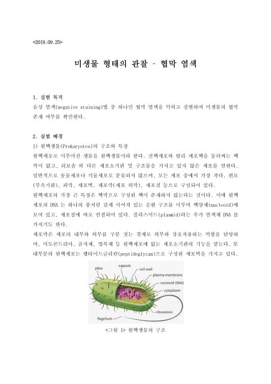 미생물실습-협막 염색