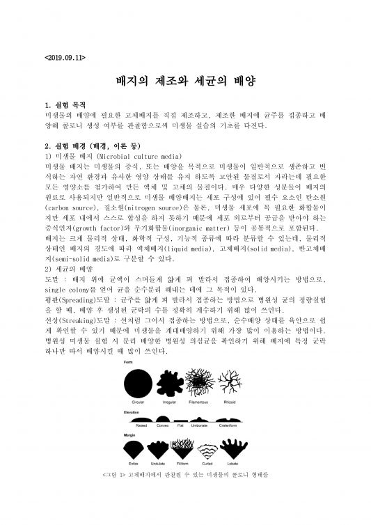 미생물실습-배지의 제조와 세균의 배양