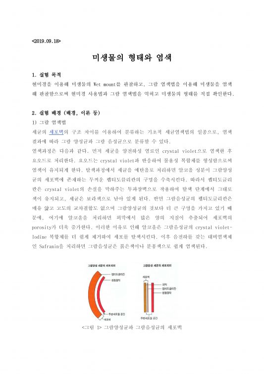 미생물실습-미생물의 형태와 염색