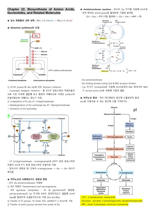 레닌저 생화학 22~28장 요점정리
