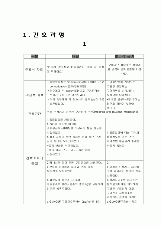 성인간호학-백혈병, 간호진단 및 과정2개