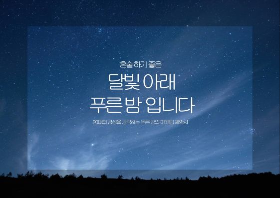 푸른밤 마케팅 제안