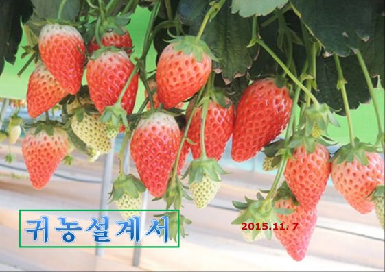 귀농 우수 설계서  7