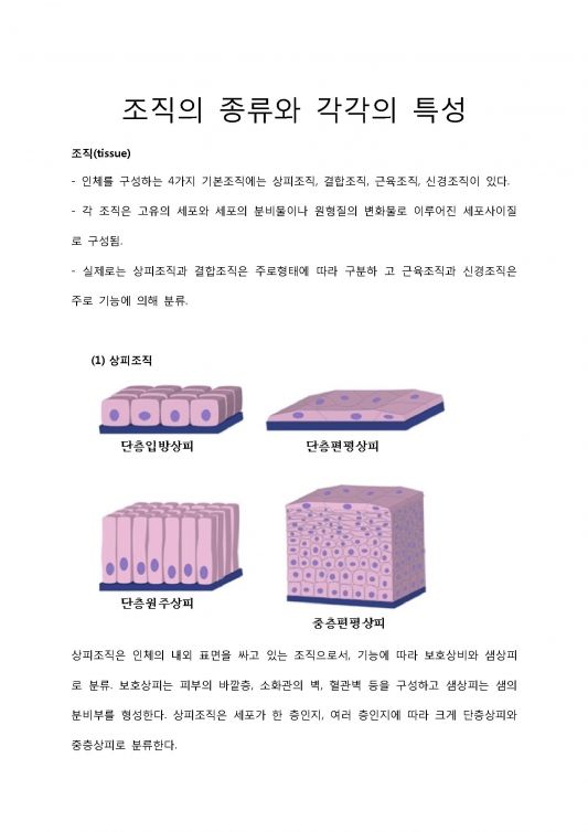 조직 종류와 각각의 특성