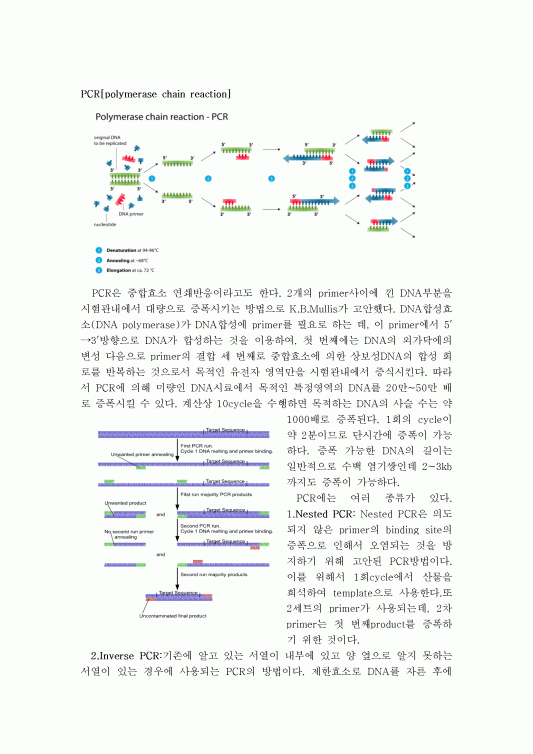 pcr 실험 레포트