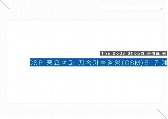 CSR 중요성과 지속가능경영(CSM)의 관계,CSR이란,기업의사회적책임,The Body Shop