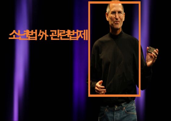 소년법외 관련법제,소년법 外 관련법제,학교폭력,아동청소년법,보호소년등의처우에관한법률,형법