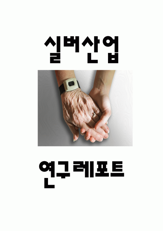 실버산업 개념 필요성 해외사례분석과 우니라나 실버산업 문제점과 활성화방안 제시