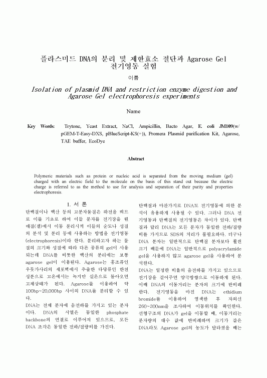 플라스미드 DNA의 분리 및 제한효소 절단과 Agarose Gel 전기영동 실험 실습
