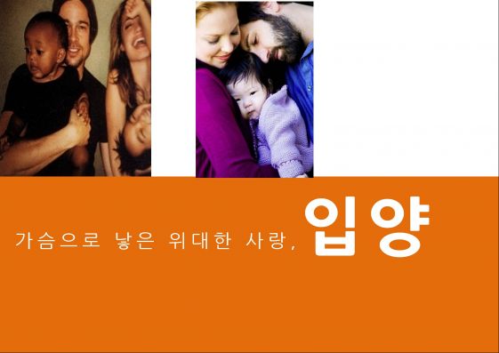 입양,입양의정의,입양정책,국내입양정책,외국의입양정책,입양정책의개선방안,입양의현황,입양의목적과유형
