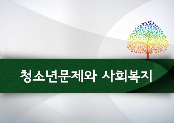 청소년문제와 사회복지 발표 ppt