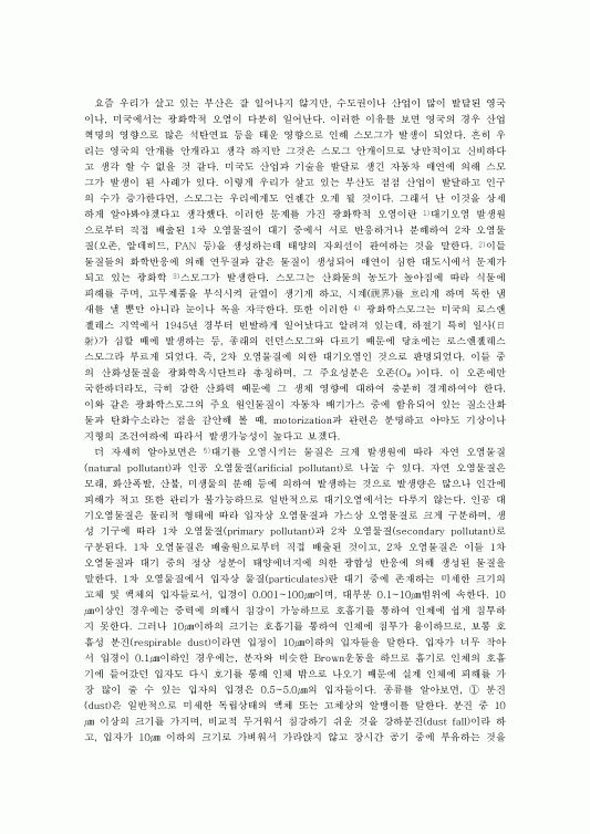 광화학적 오염