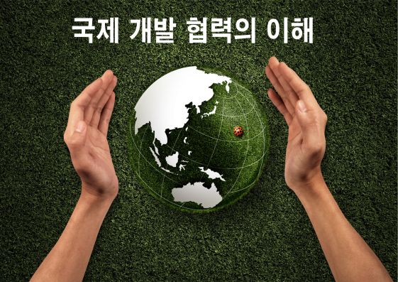 환경과 발전,인구 감소,삼림 벌채,사막화,환경의 정치경제학,재생가능 에너지,지속 가능성,지구온난화