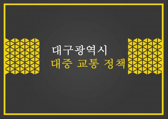 대구광역시대중교통정책,대중교통정책,대도시대중교통의필요성,대구광역시대중교통체계,해외대중교통사례
