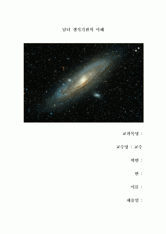 남녀생식기관의 이해 레포트