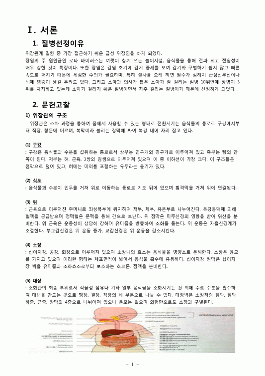 아동 급성위장염 간호