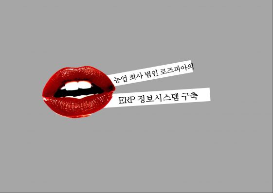 경영정보시스템(ERP) 구축 성공사례 /화훼기업/