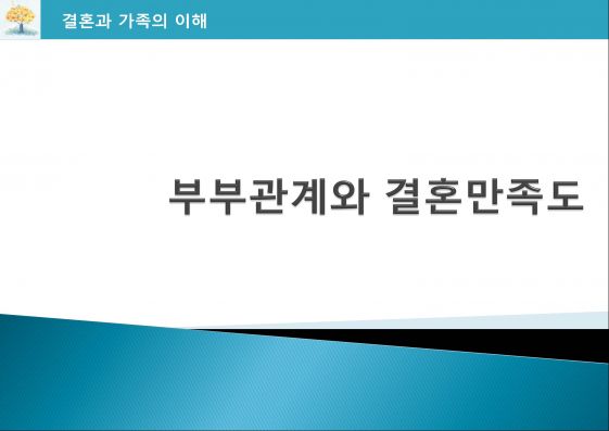 부부관계,결혼,결혼만족도,결혼만족도,결혼만족도와 부부갈등,부부관계유형