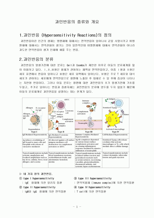 면역과민반응의 종류와 개요 (Hypersensitivity reactions)