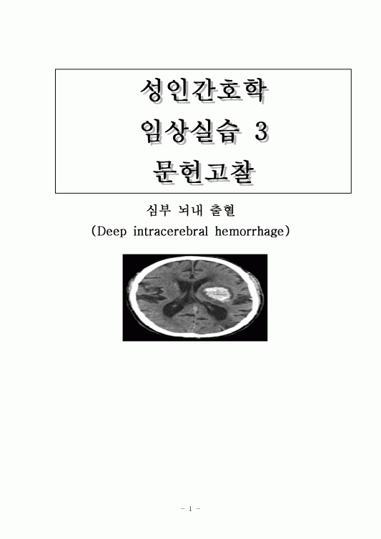 성인간호학 심부뇌내출혈 문헌고찰