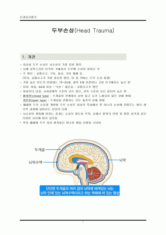 폐쇄형관통형 두부손상(Head Trauma)