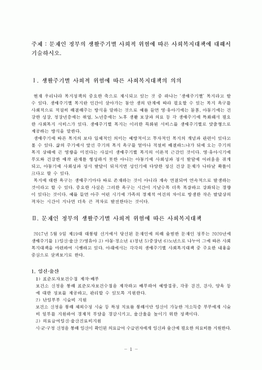 문재인 정부의 생활주기별 사회적 위험에 따른 사회복지대책에 대해서 기술하시오.