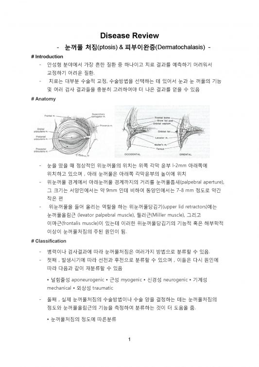 눈꺼풀 처짐(ptosis) & 피부이완증(Dermatochalasis)