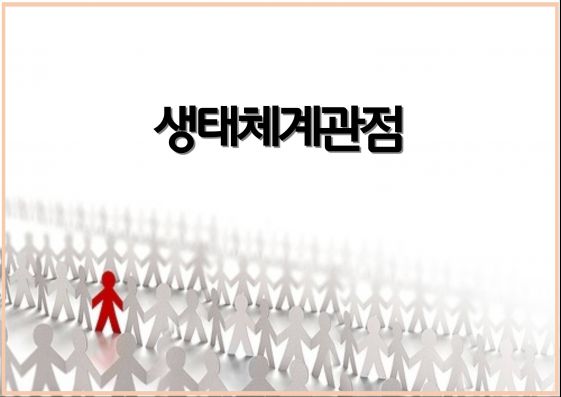 생태체계관점 사회복지실천(생태체계관점이론, 생태체계관점주요개념, 생태체계관점실천방법, 생태체계관점사례)PPT, 프레젠테이션
