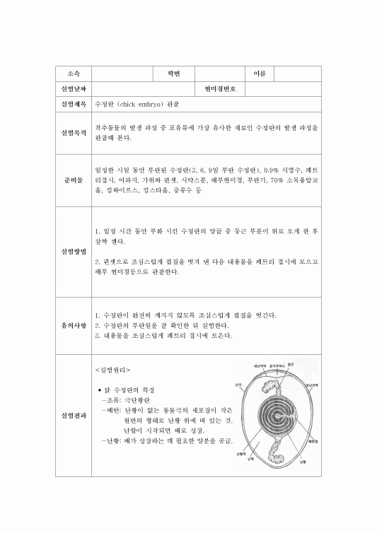 (생물실험) 수정란 (chick embryo) 관찰 실험