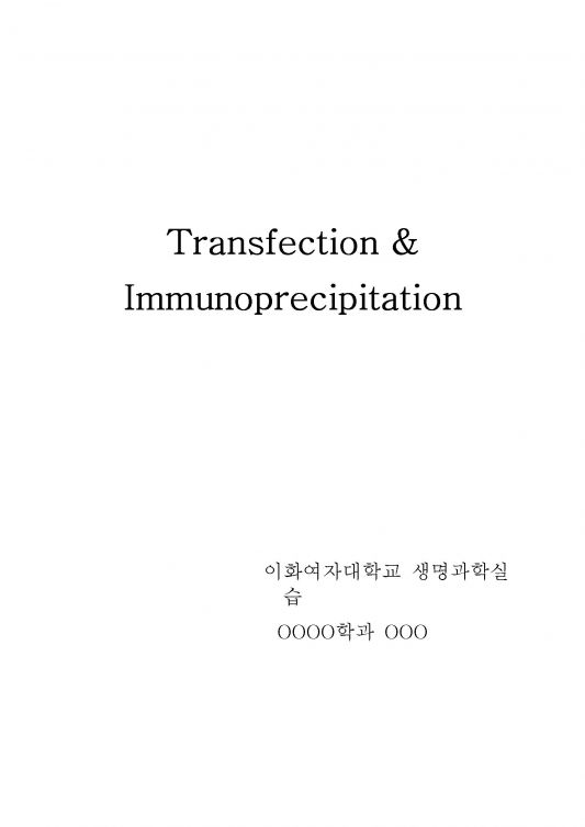 [만점레포트] transfection, immunoprecipitation 과정 및 결과 분석 방법