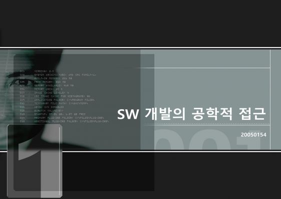 SW 개발의 공학적 접근