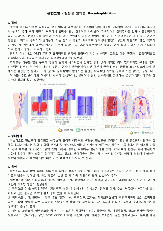 간호진단 3개 성인간호학실습 혈전성정맥염 간호과정 케이스스터디