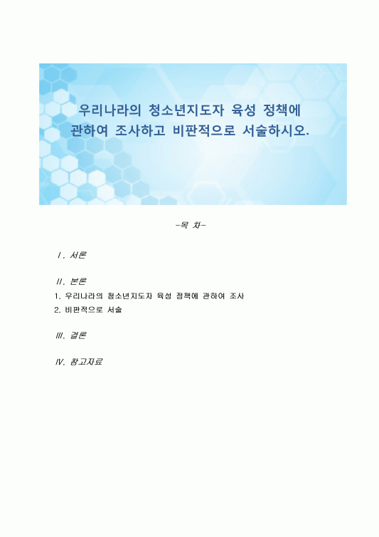 우리나라의 청소년지도자 육성 정책에 관하여 조사하고 비판적으로 서술하시오