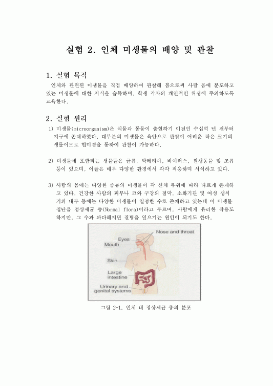 인체 미생물의 배양 및 관찰