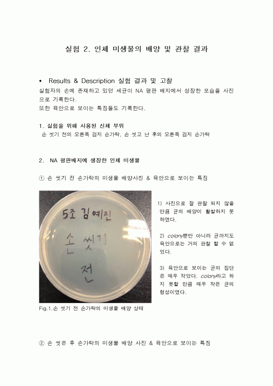 실험. 인체미생물의 배양