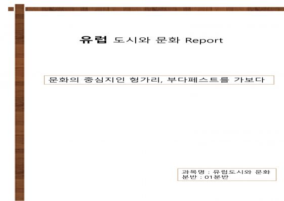 문화의 중심지인 헝가리, 부다페스트를 가보다_유럽도시와문화_레포트