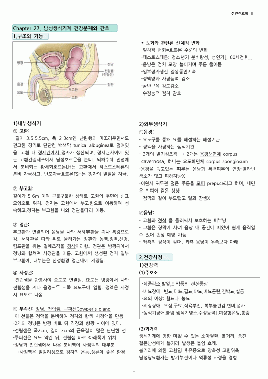 성인간호학2 남성생식기계 요약정리본입니다.