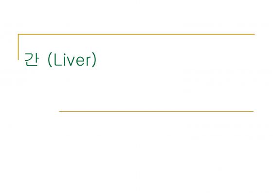 Liver 레포트 자료