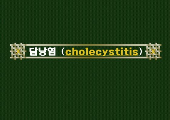 담낭염 레포트 자료