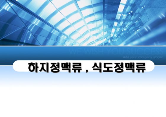 정맥류 레포트 자료